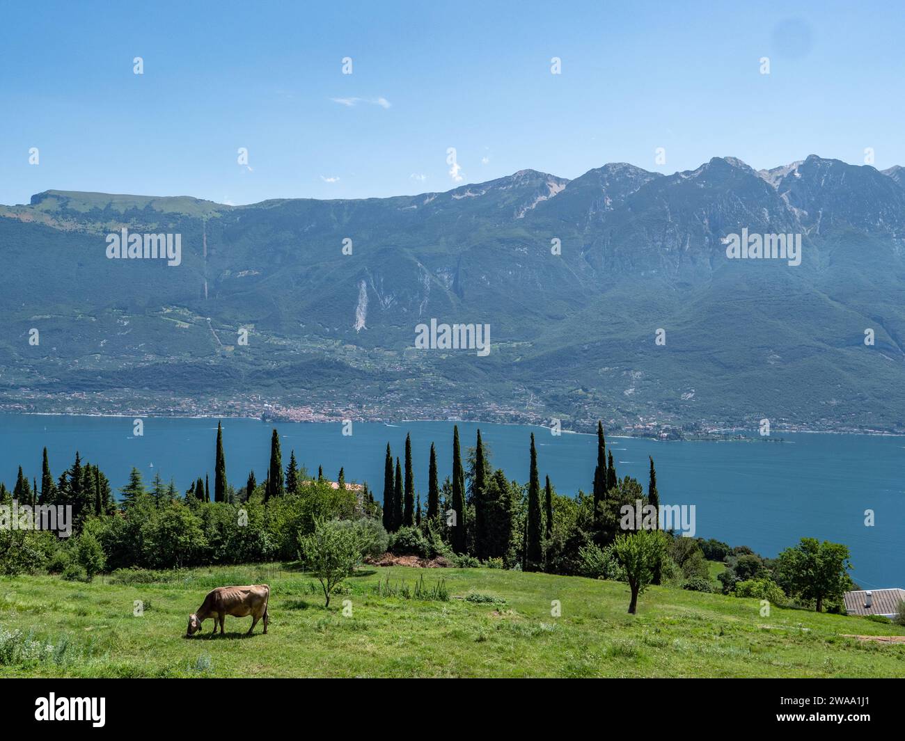 Vue de Tremosine sur le lac de Garde à la ville de Malcesine et les ...