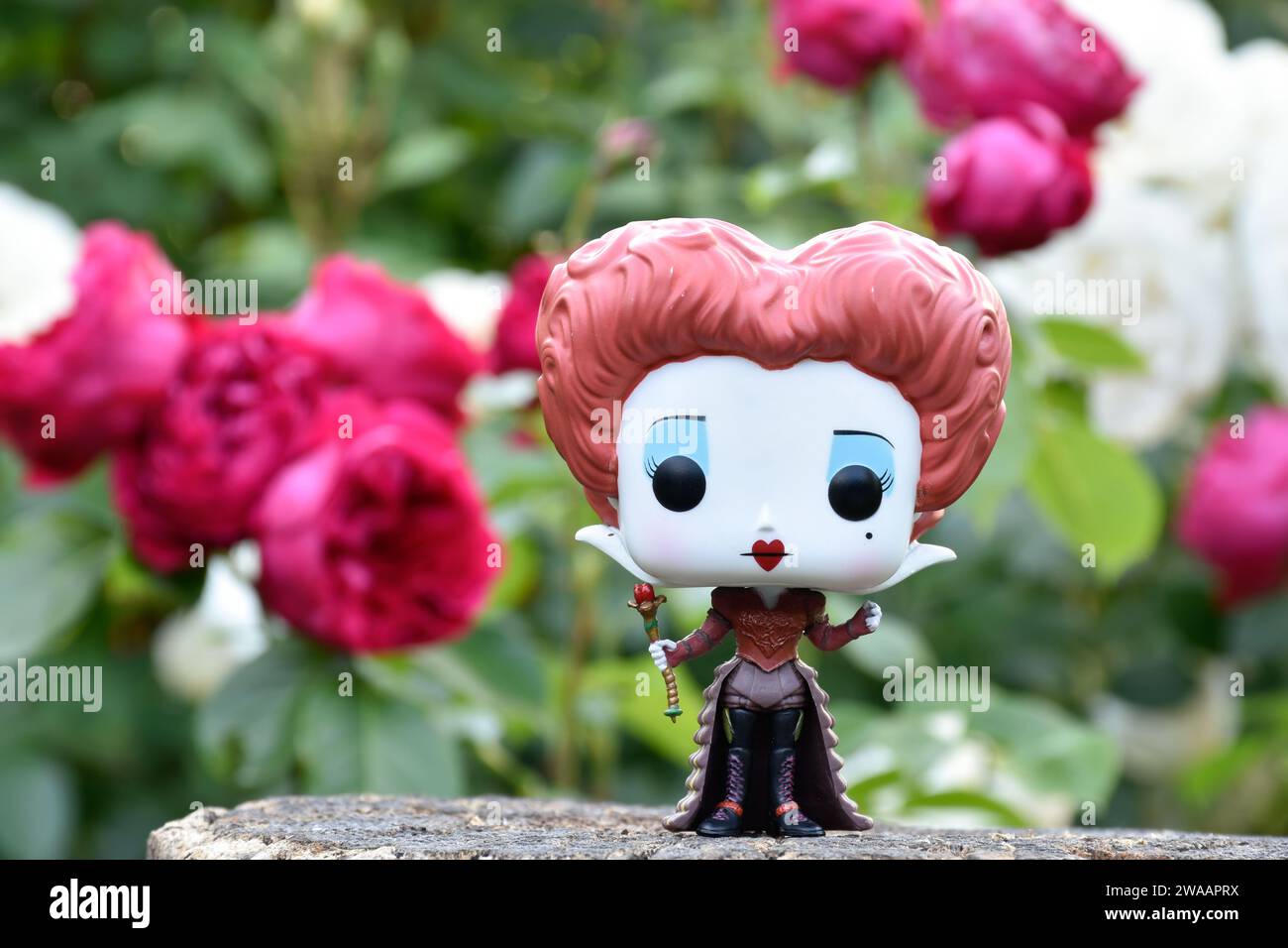 Alice avec la reine blanche et la reine rouge Banque de photographies ...