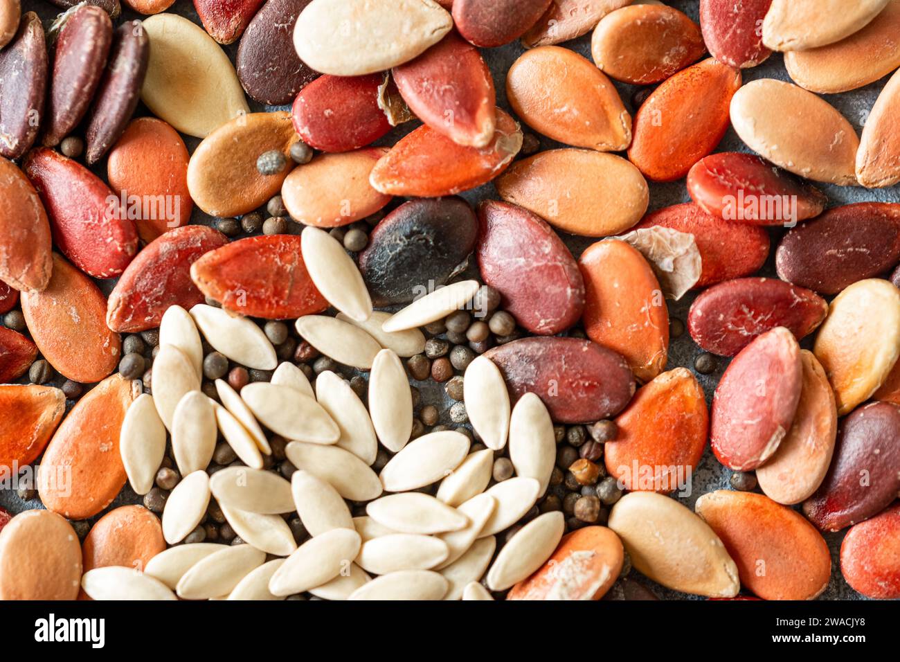 Types de graines Banque de photographies et d’images à haute résolution ...