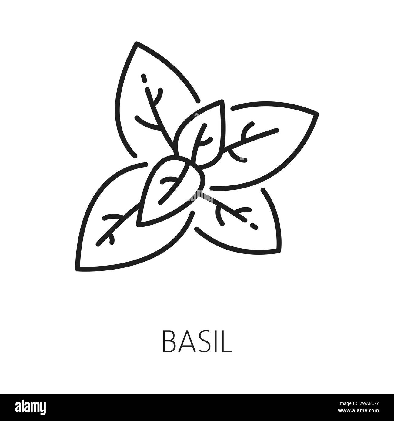 Saint basilic Banque d'images vectorielles - Alamy