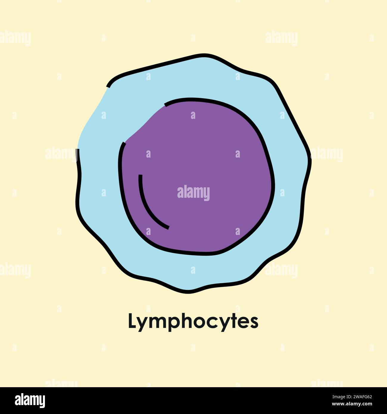 Icône de couleur lymphocytes. Globules blancs dans les vaisseaux ...