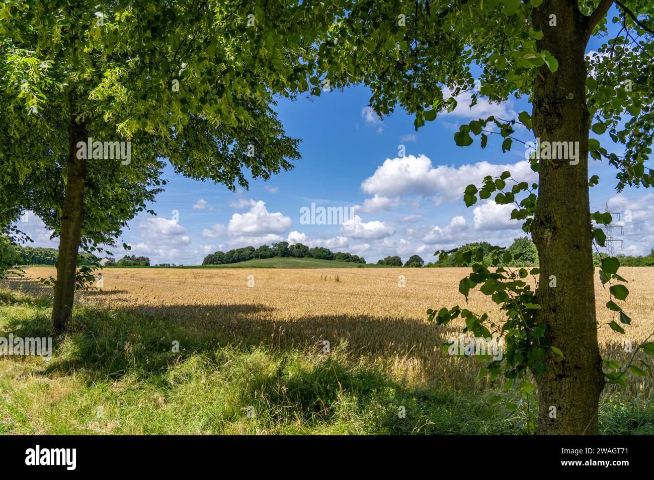 Le Mechtenberg à Essen, l'une des rares élévations naturelles de la ...