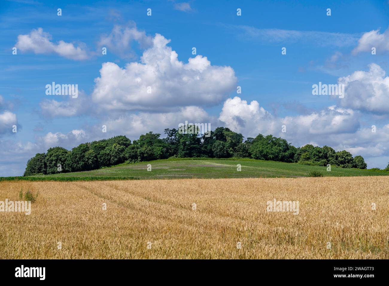 Le Mechtenberg à Essen, l'une des rares élévations naturelles de la ...