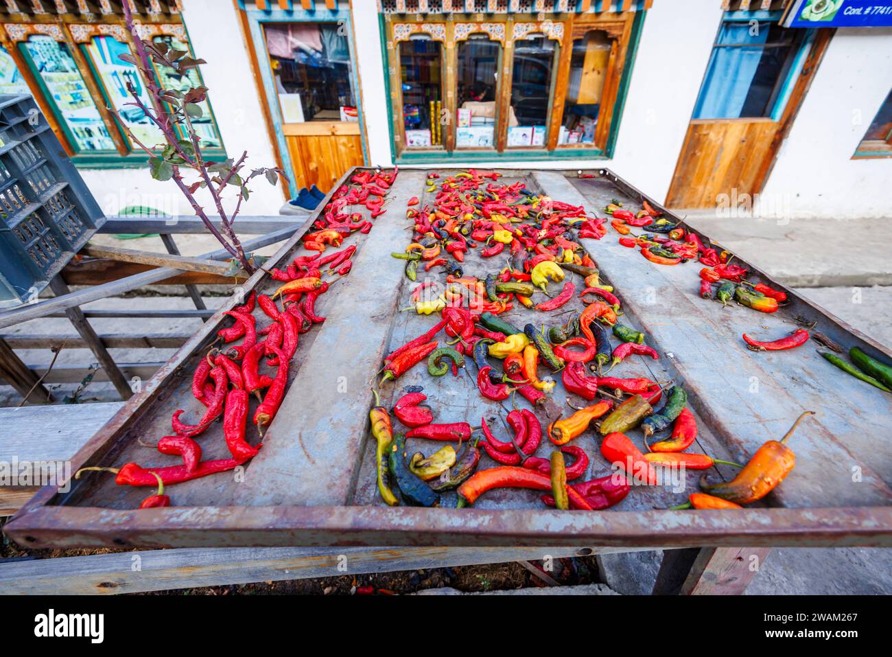 Les piments rouges séchés au soleil ont séché à l'air libre devant un ...