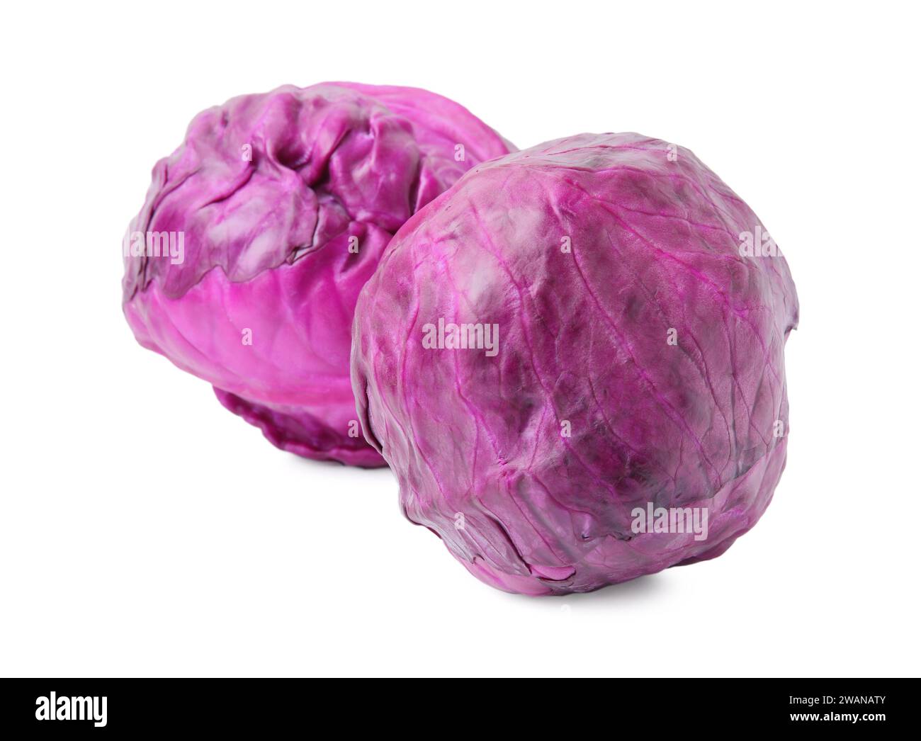 Choux rouges frais Banque de photographies et d’images à haute ...