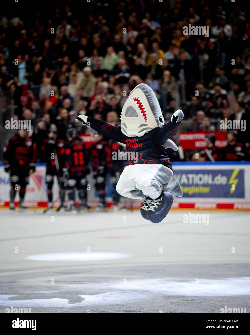 COLOGNE, ALLEMAGNE - 5 JANVIER 2024 : match de hockey de Penny DEL ...