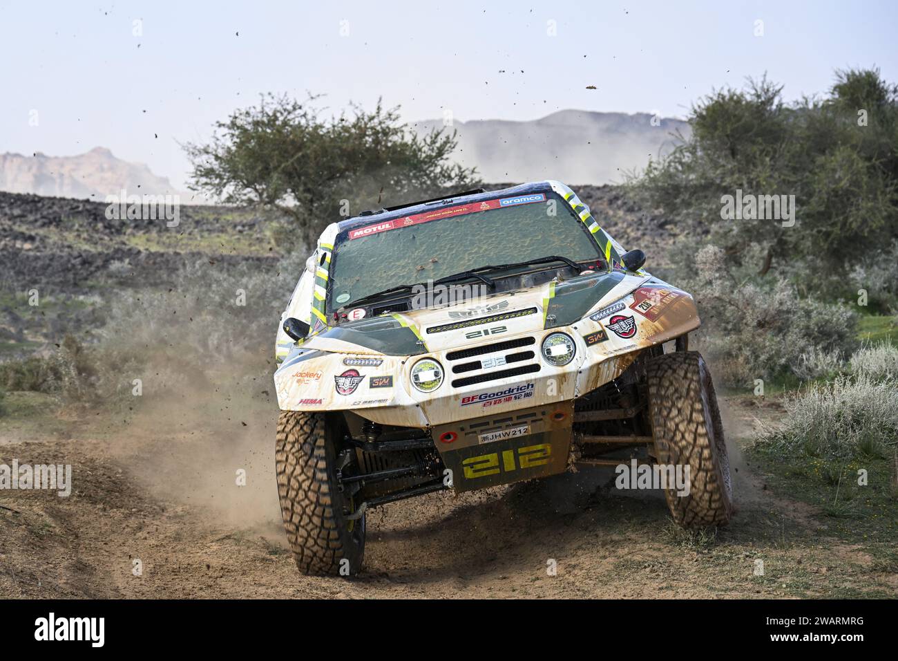 218 HAN Wei (chn), ma Li (chn), Hanwei Motorsport Team, Red-lined ...