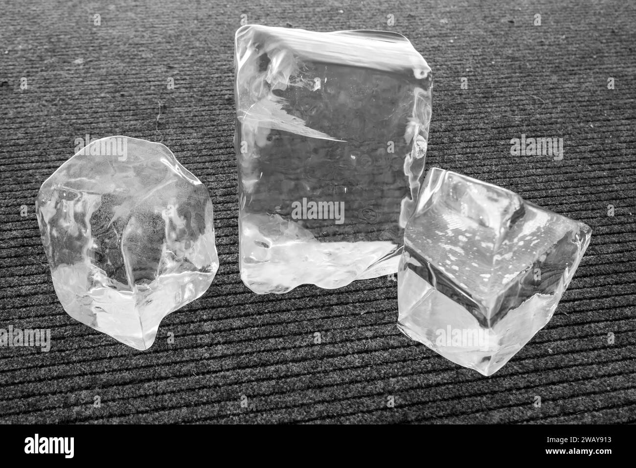 Ice spice Banque d'images noir et blanc - Alamy