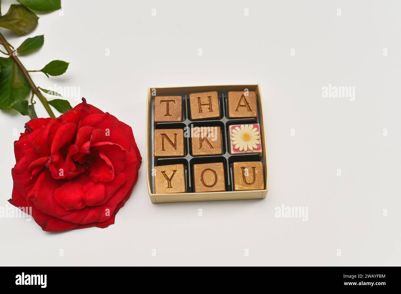 Carte de remerciement avec rose rouge carte de remerciement avec Banque ...