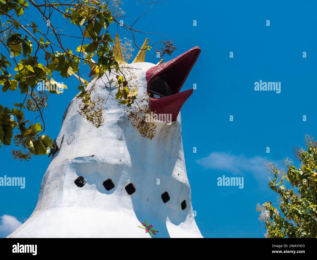 Java chicken Banque de photographies et d’images à haute résolution - Alamy