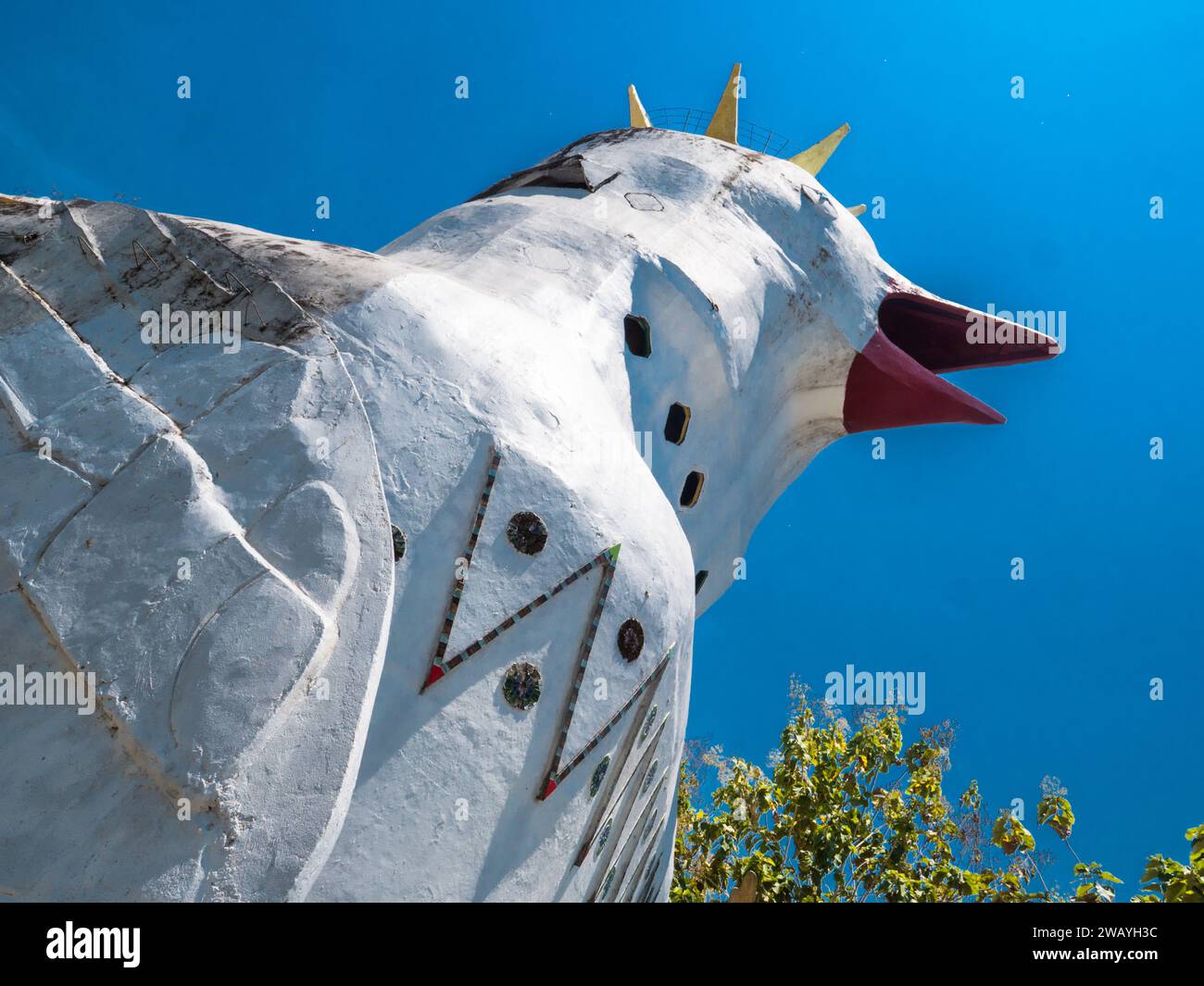 Java chicken Banque de photographies et d’images à haute résolution - Alamy