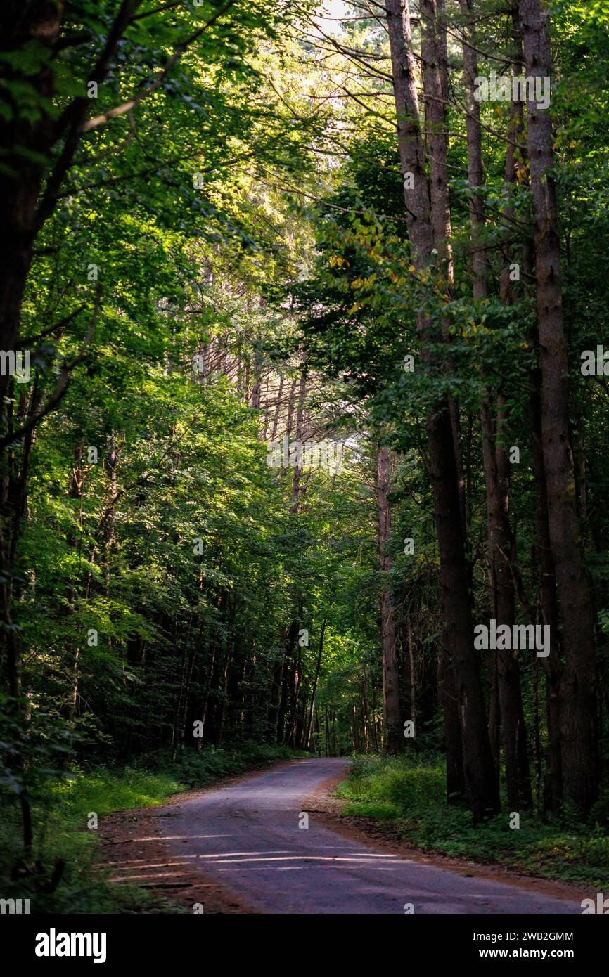 Chemin de terre sinueux Banque de photographies et d’images à haute ...