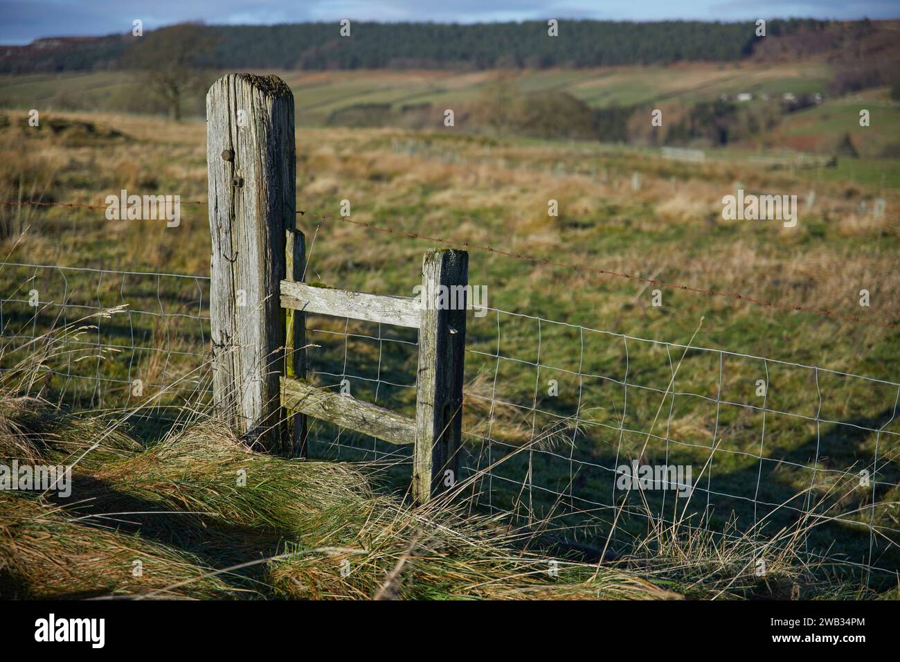 Banques breary Banque de photographies et d’images à haute résolution ...