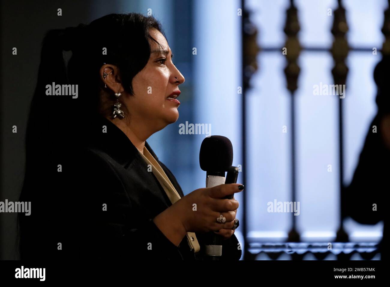 8 janvier 2024, Mexico, Mexique : la journaliste d'investigation de l ...