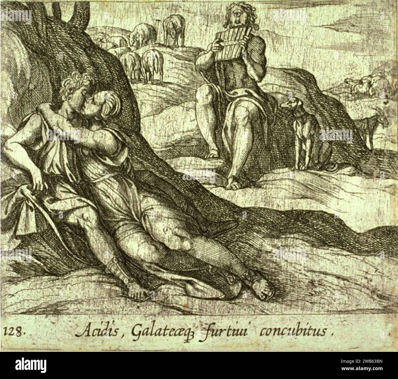 Le cyclope polyphème Banque de photographies et d’images à haute ...