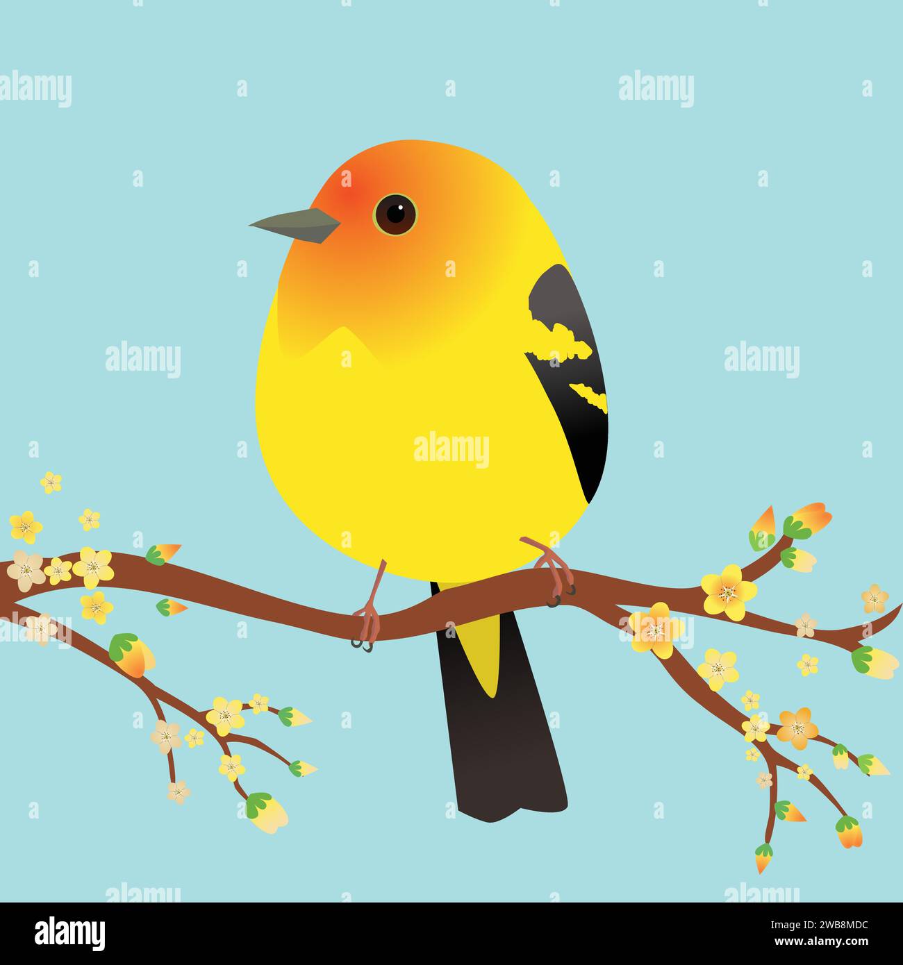 élevage d'oiseaux Banque d'images vectorielles - Alamy