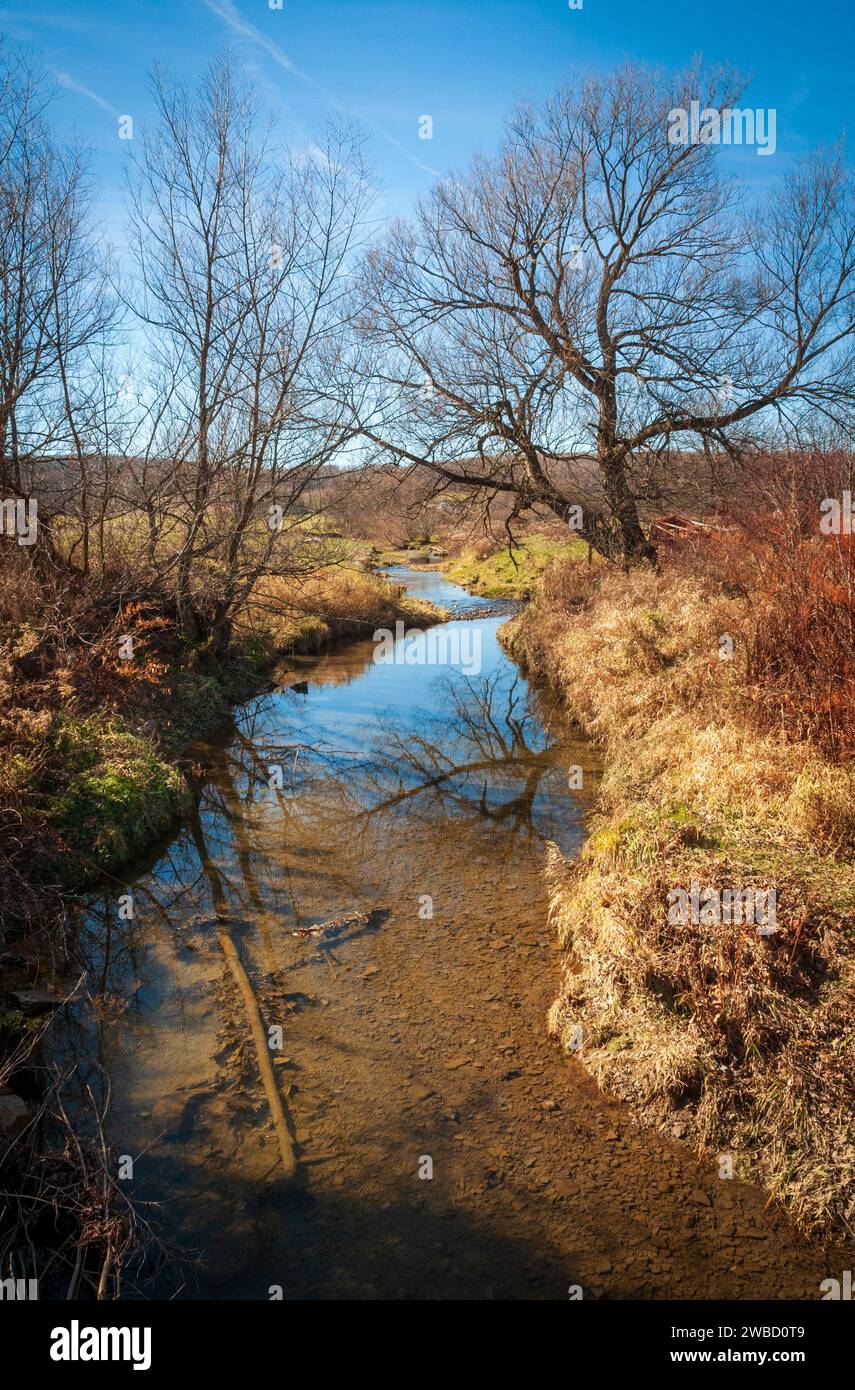 Ruisseau conewango Banque de photographies et d’images à haute ...