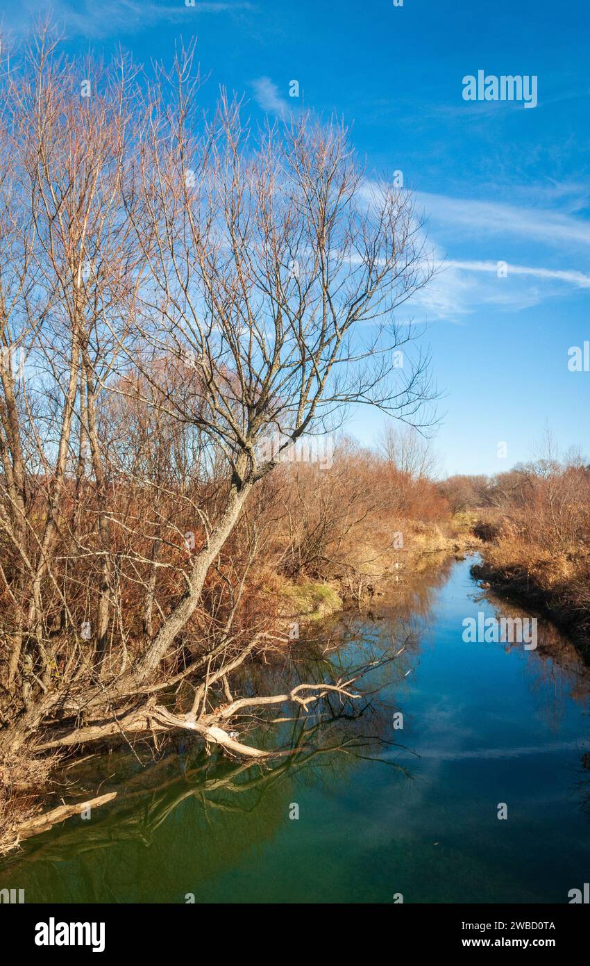 Ruisseau conewango Banque de photographies et d’images à haute ...