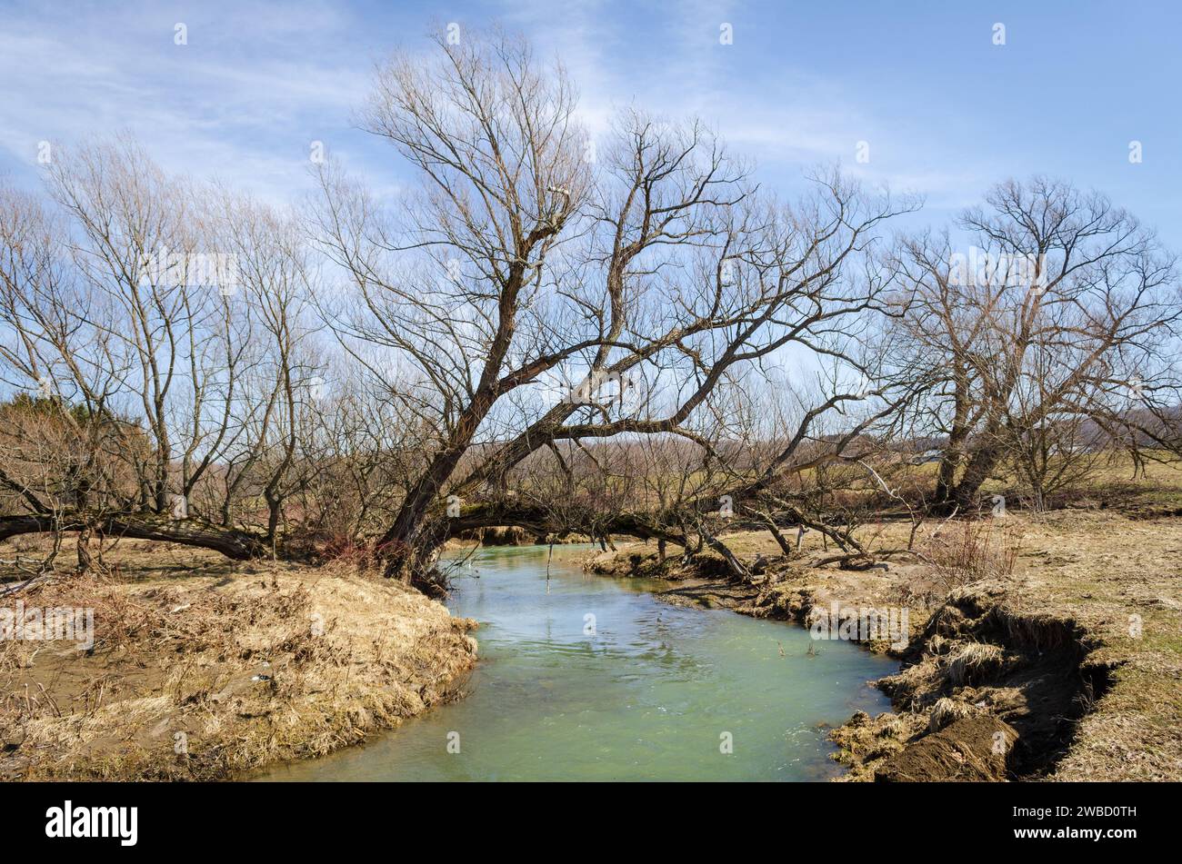 Ruisseau conewango Banque de photographies et d’images à haute ...
