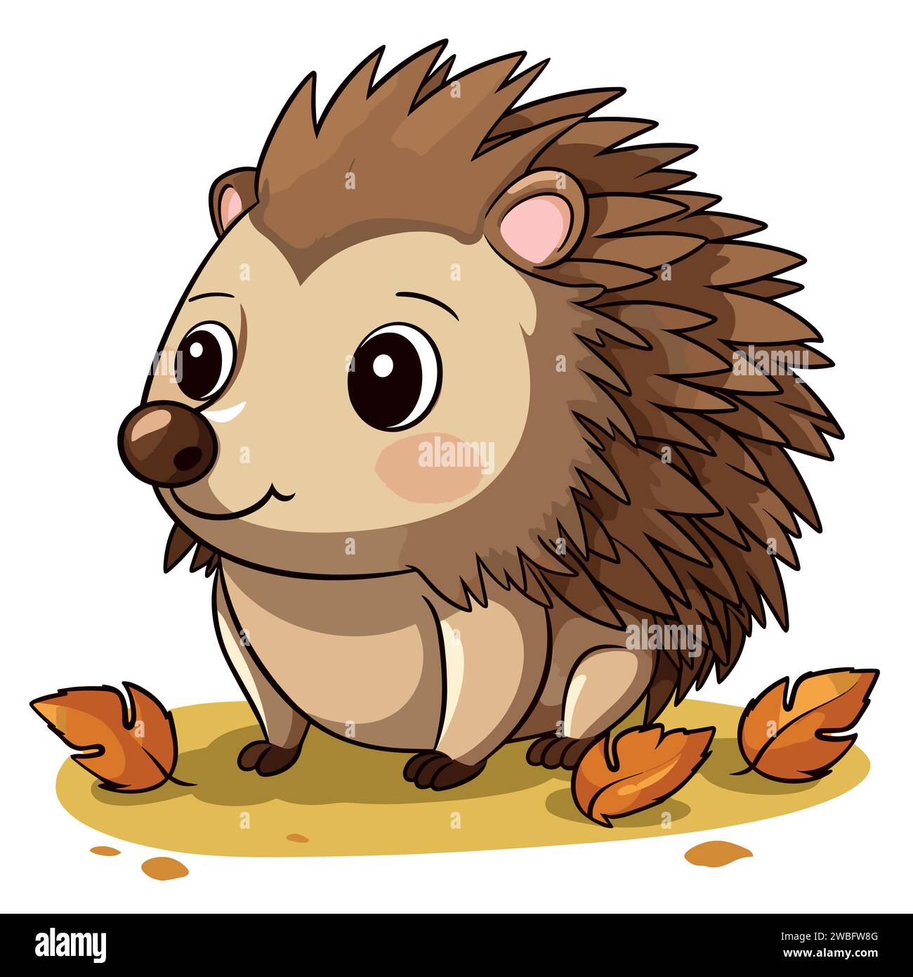 Petit hérisson isolé sur fond blanc Banque d'images vectorielles - Alamy