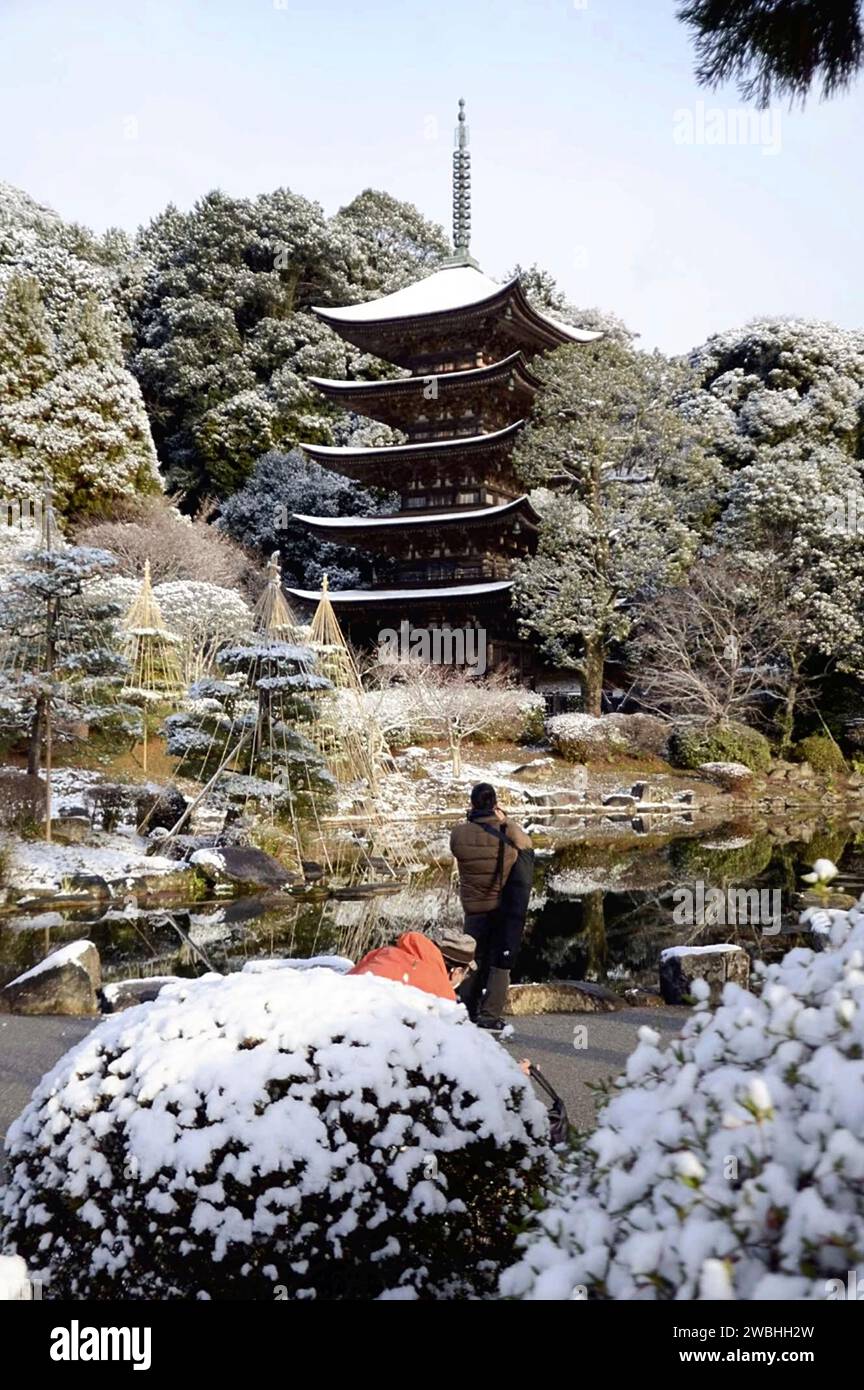 FILE: A photo shows the five-story pagoda of Ruriko-ji temple in ...