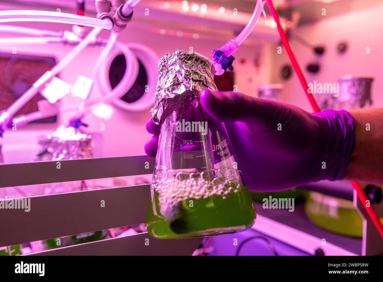 Un prototype d’Organic Processor Assembly (OPA) – une technologie ...