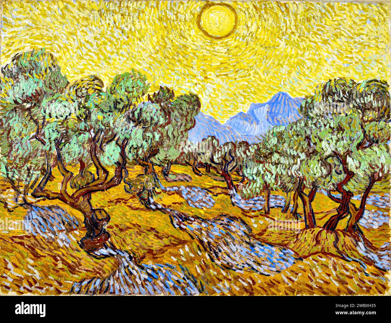 Oliviers van gogh Banque d'images vectorielles - Alamy