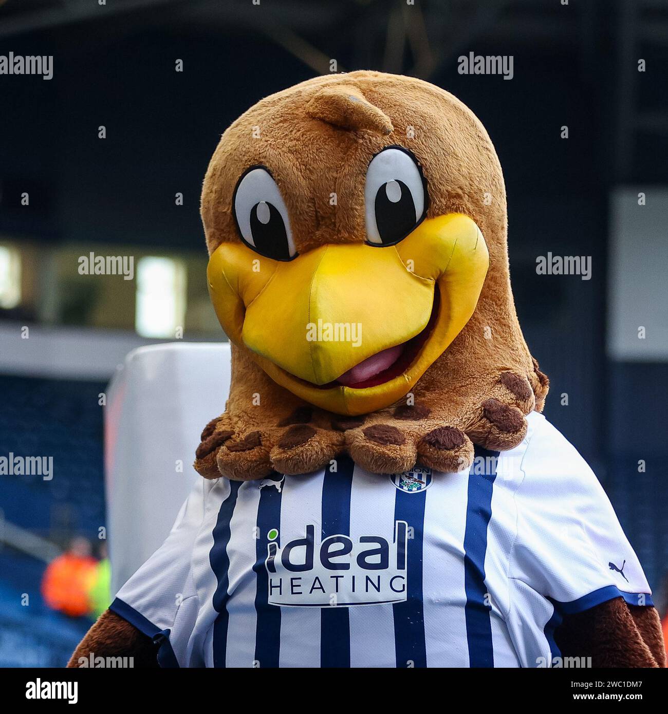 West Bromwich, Royaume-Uni. 13 janvier 2024. La mascotte de West ...