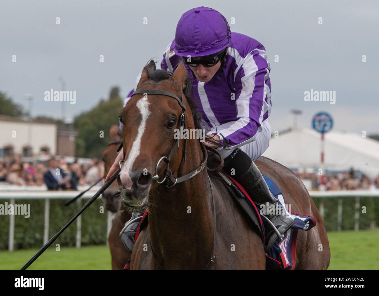 Ryan Moore remporte le St Leger 2023 à Doncaster sur Continuous pour ...