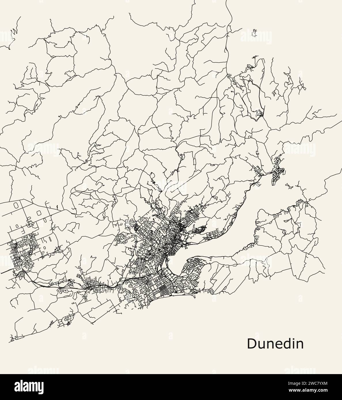Centre ville dunedin Banque d'images vectorielles - Alamy