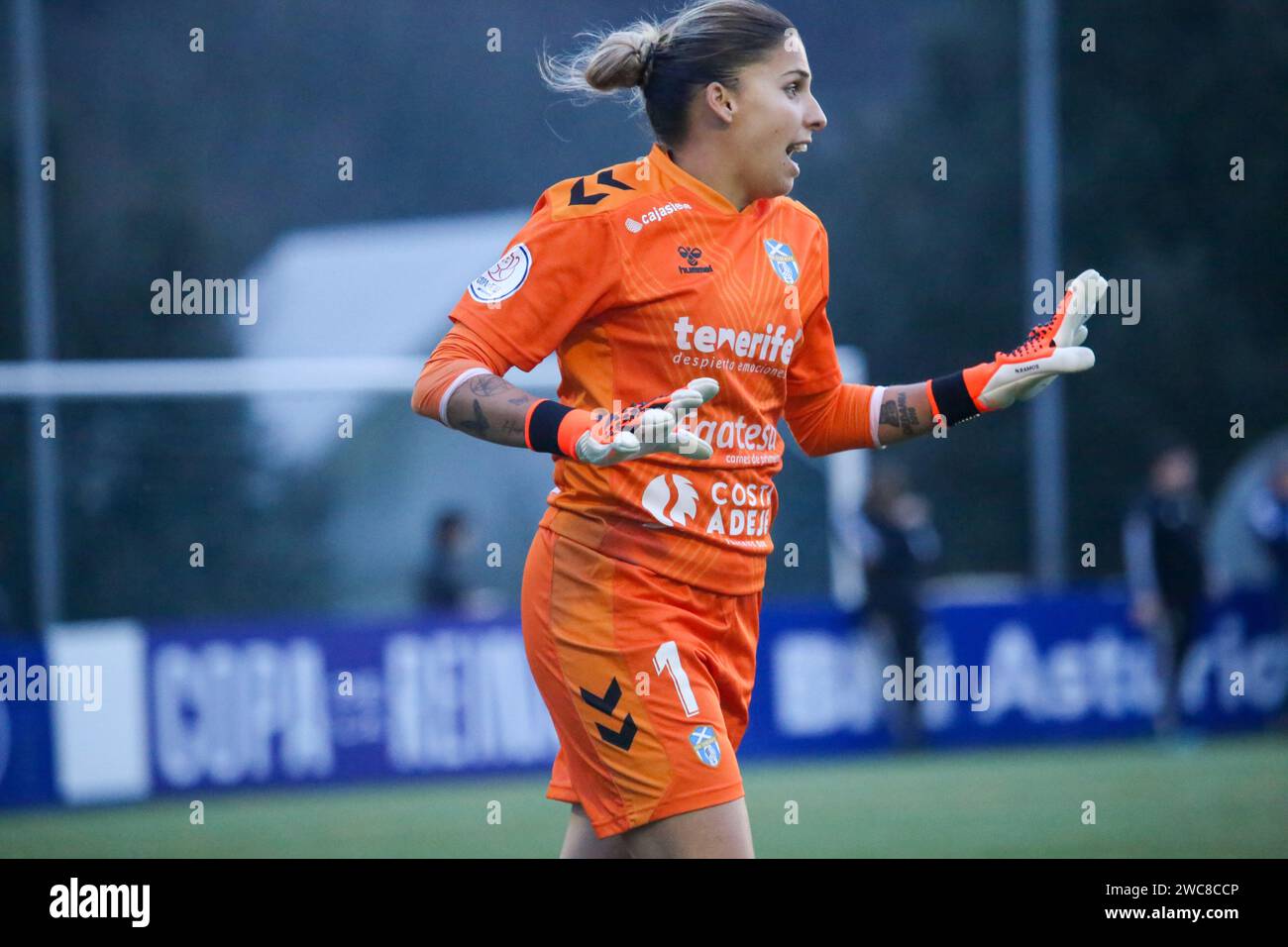San Claudio, Asturies, Espagne. 14 janvier 2024. San Claudio, Espagne ...