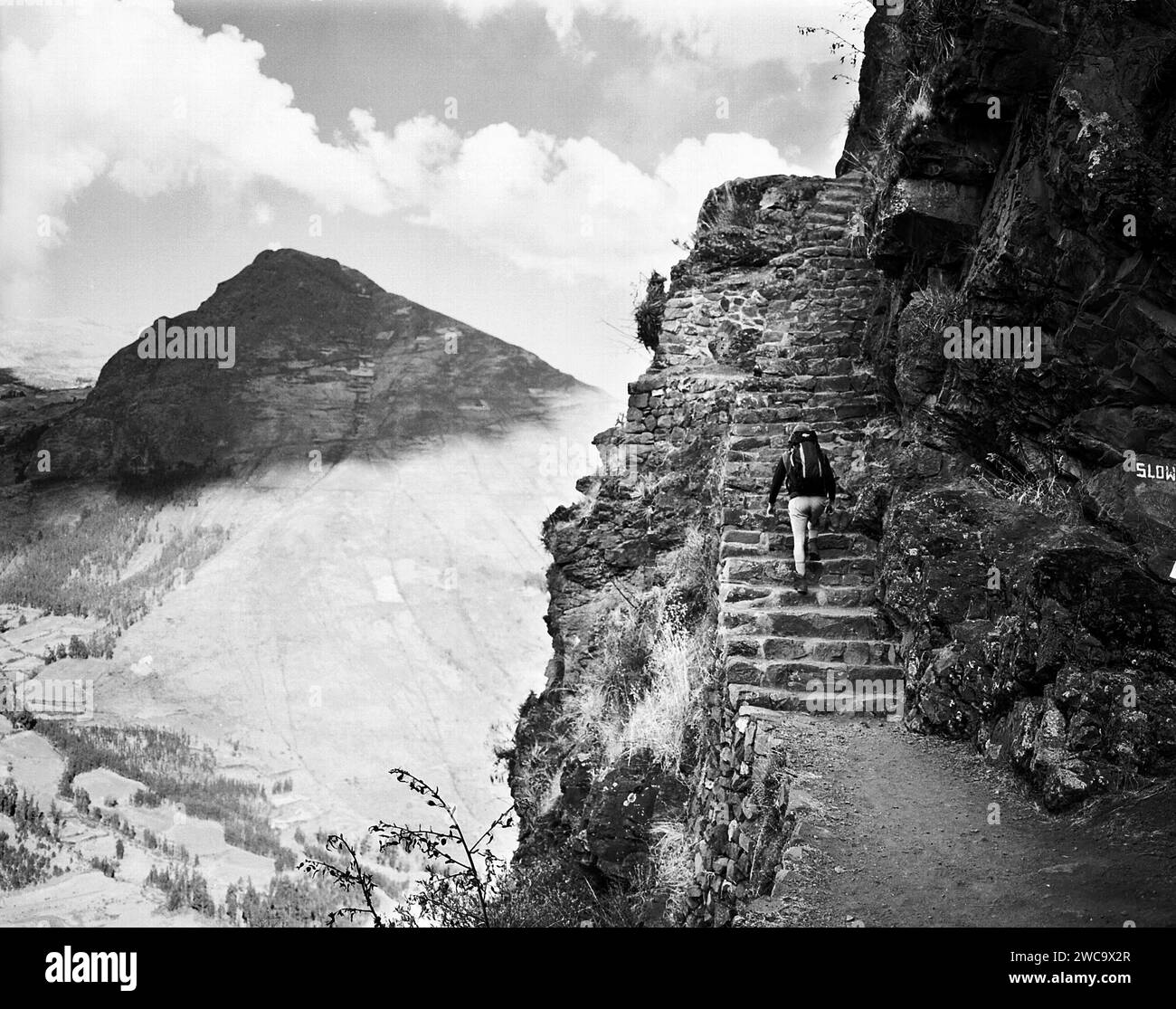 Tourist climbing stairs Banque d'images noir et blanc - Alamy