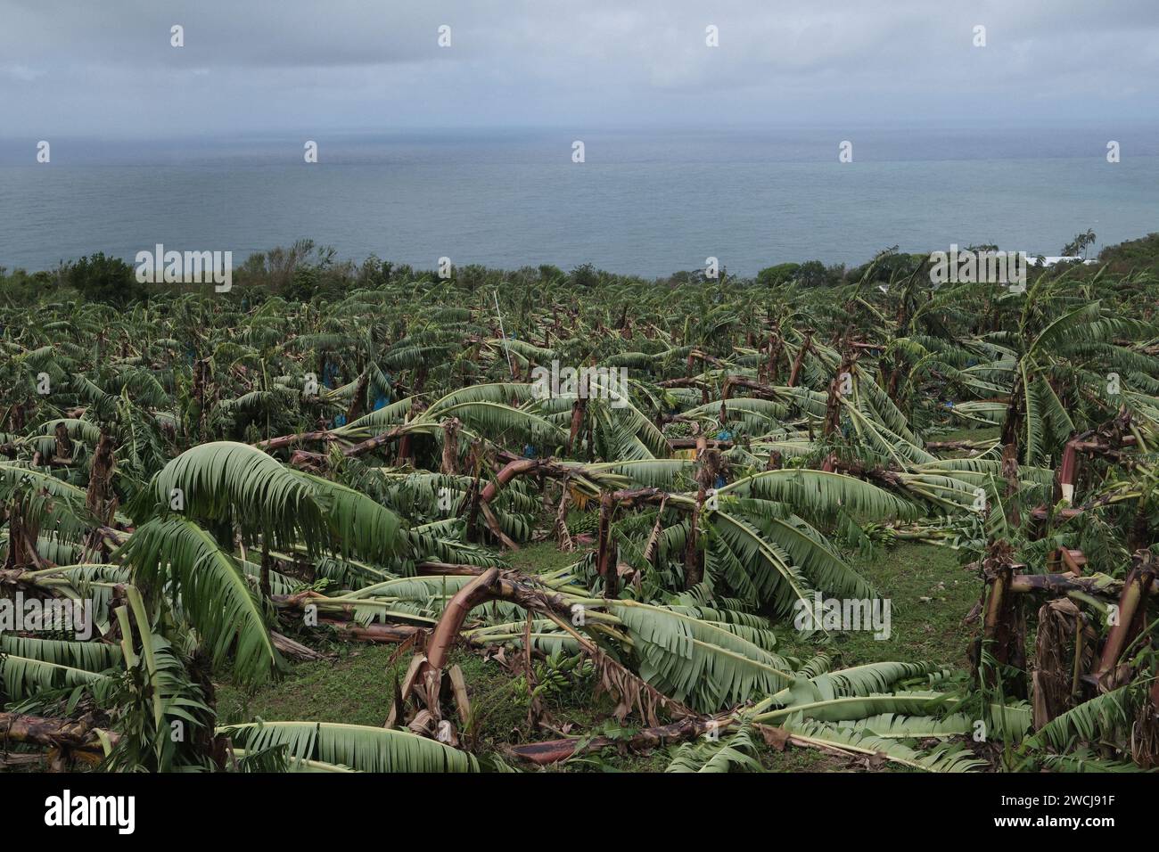 15 janvier 2024 cyclone Banque de photographies et d’images à haute résolution - Alamy
