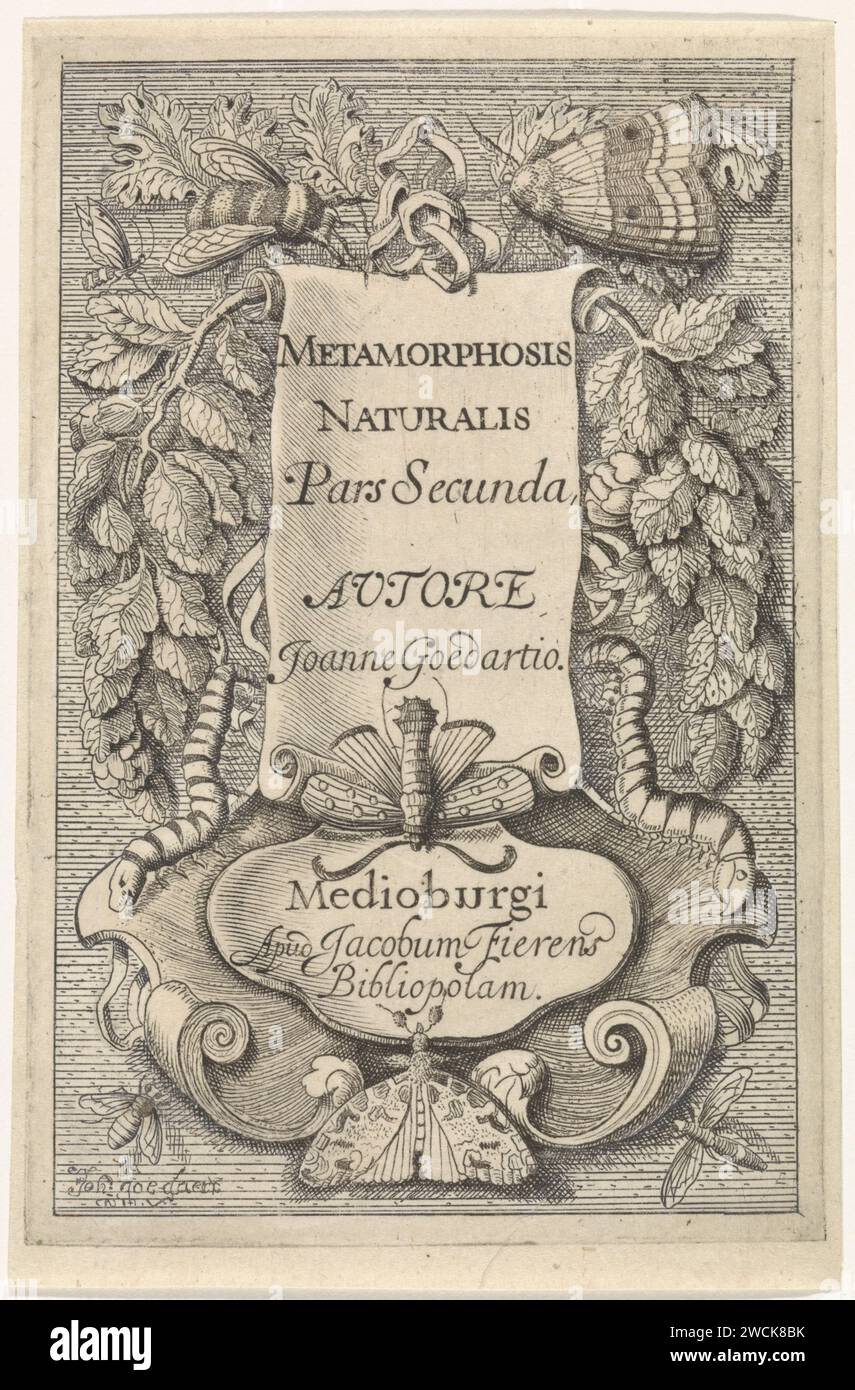 Johannes goedaerts Banque de photographies et d’images à haute ...