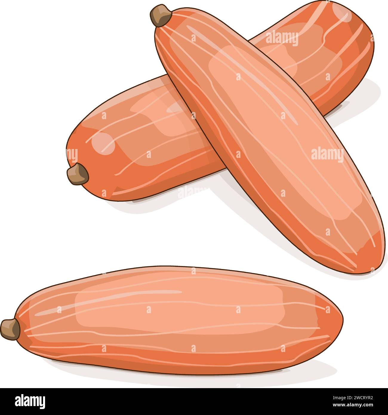 Groupe de Pink Jumbo Banana squash Pumpkin Winter squash. Cucurbita ...
