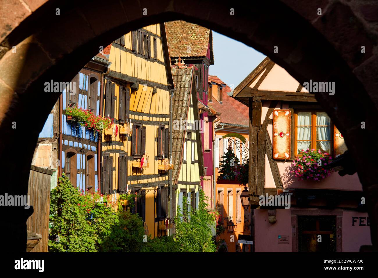 La France, Haut Rhin, Alsace Route des Vins, Riquewihr, étiqueté Les ...