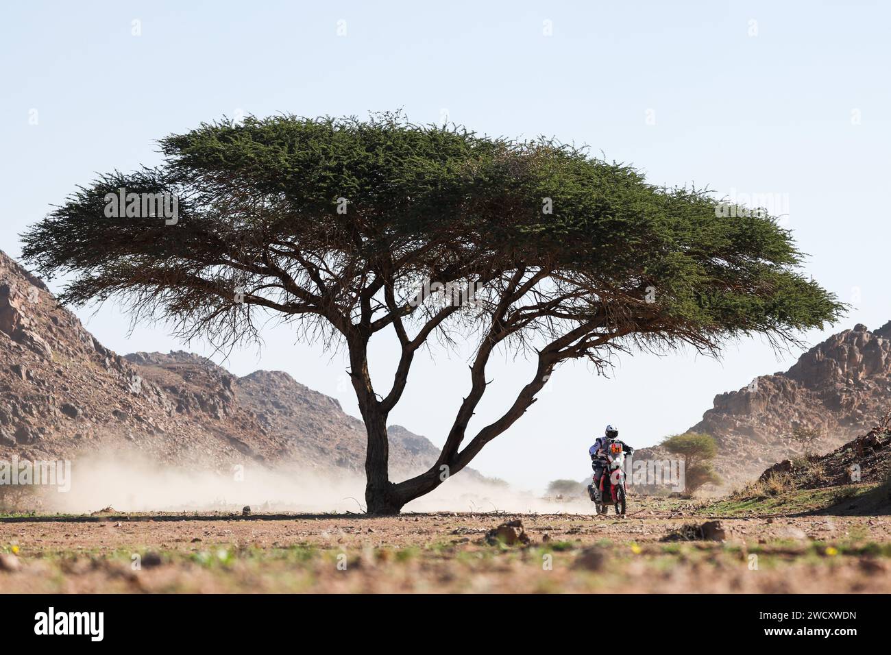 21 ARGUBRIGHT Jacob (usa), Duust Rally Team, KTM, moto, action lors de ...