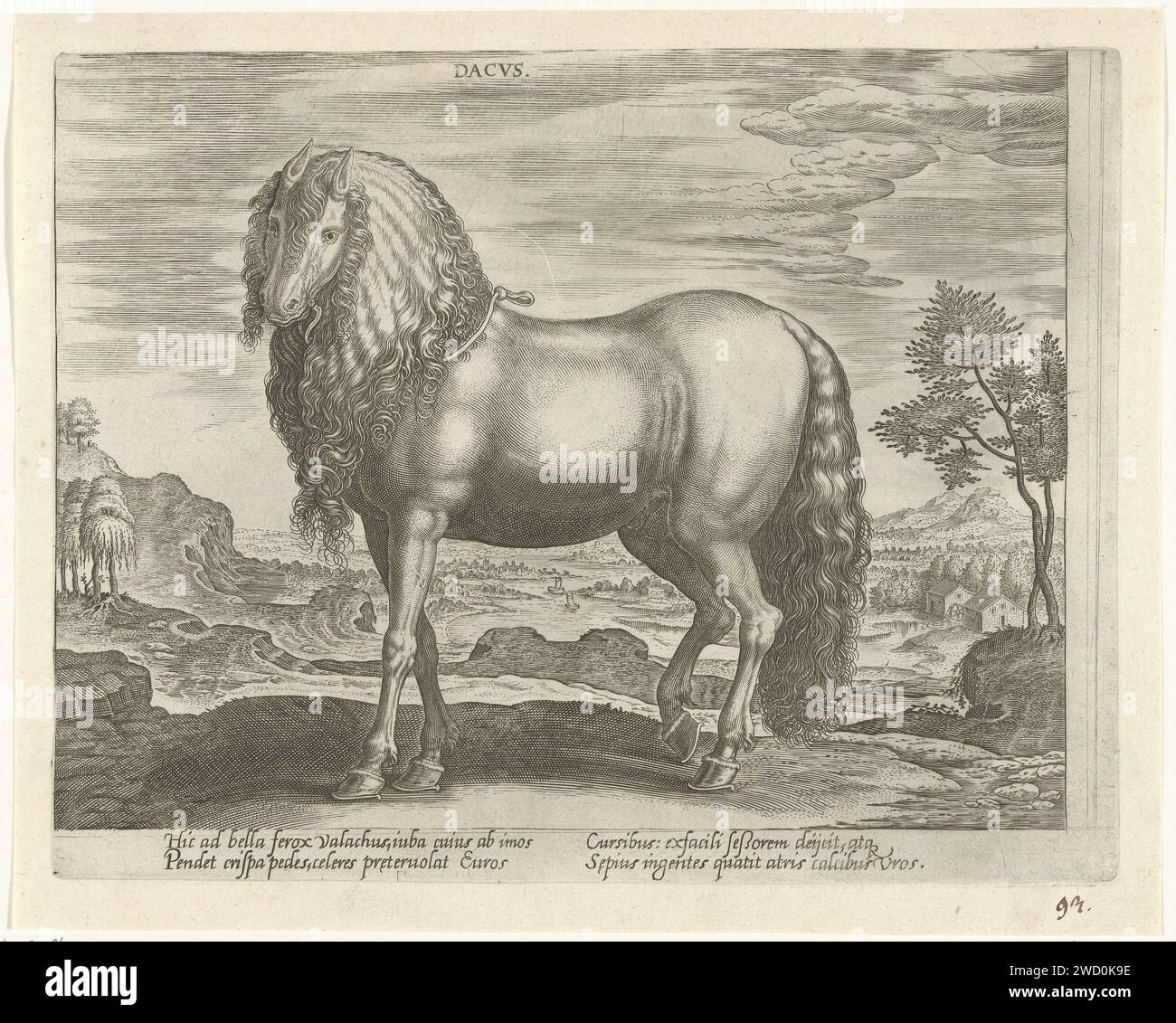 Paard de Roumanie (Dacus), Hans Collaert (I) (attribué à), d'après Jan ...