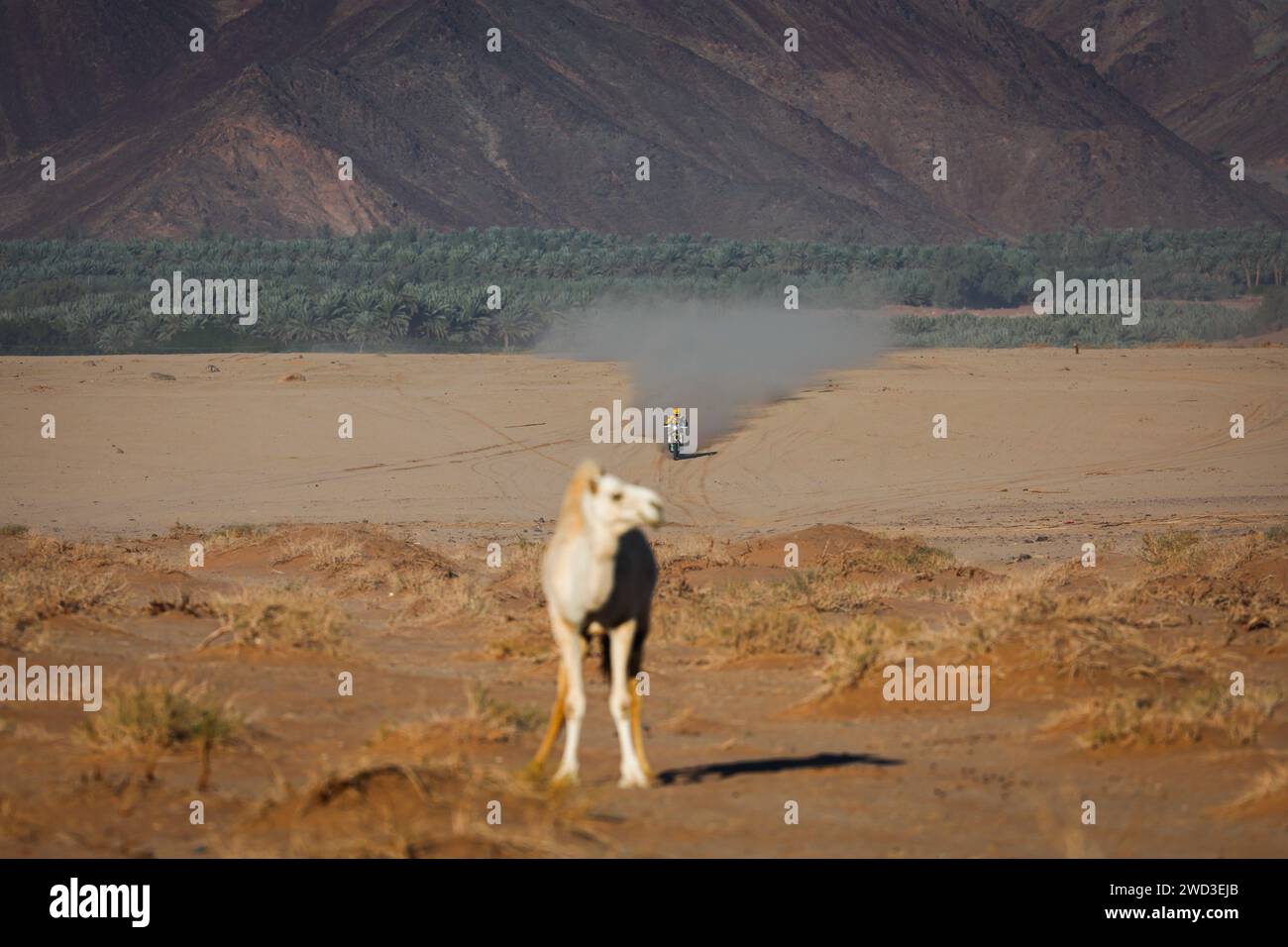 23 MICHEK Martin (cze), Orion - moto Racing Group, KTM, moto, action ...