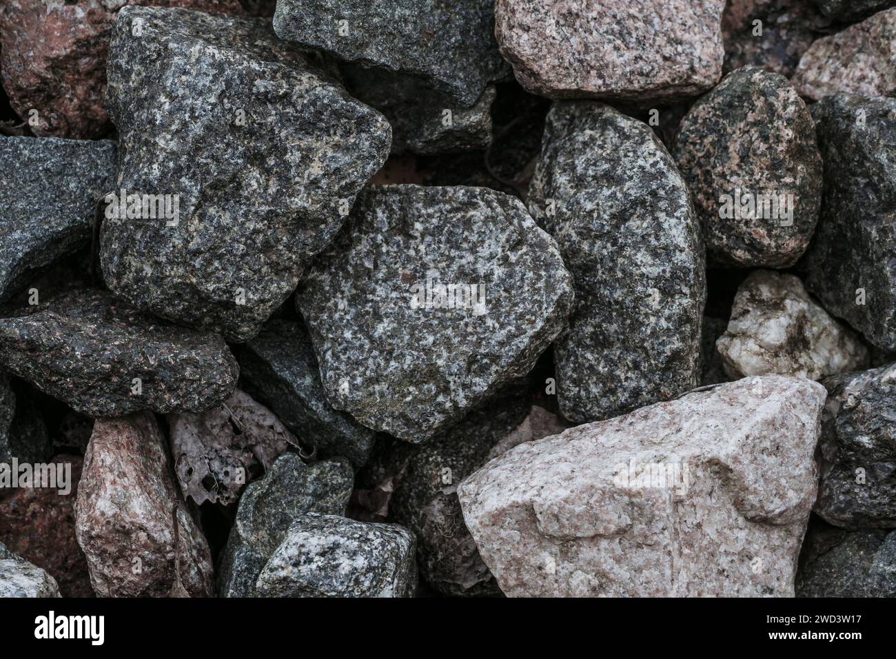 Moellons texture Banque de photographies et d’images à haute résolution ...