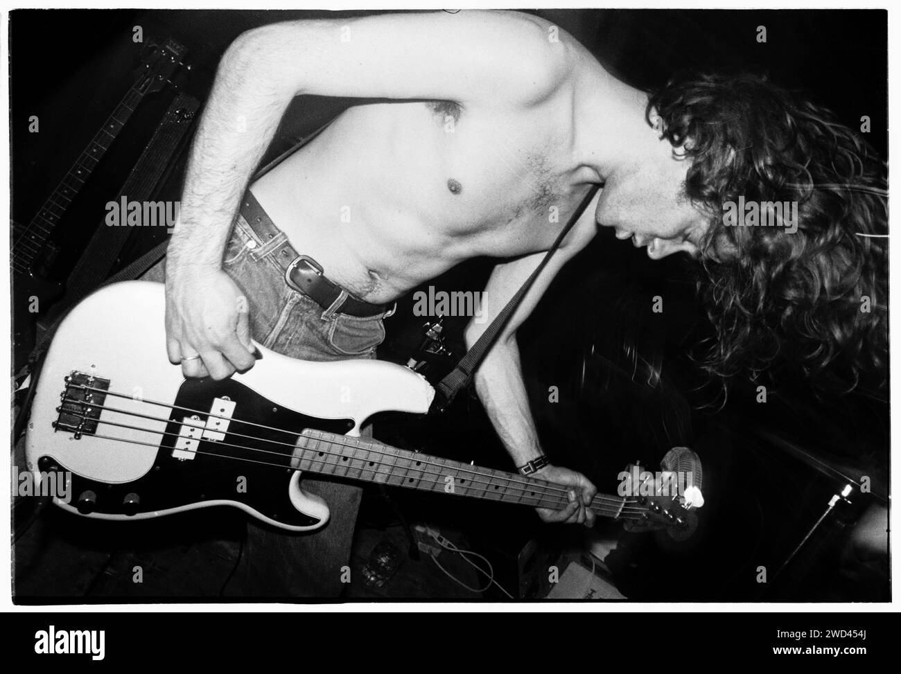 Souris jacobs Banque de photographies et d’images à haute résolution ...