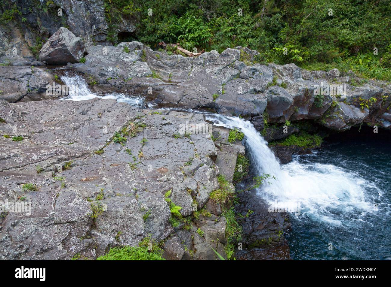 Bassin lucie Banque de photographies et d’images à haute résolution - Alamy