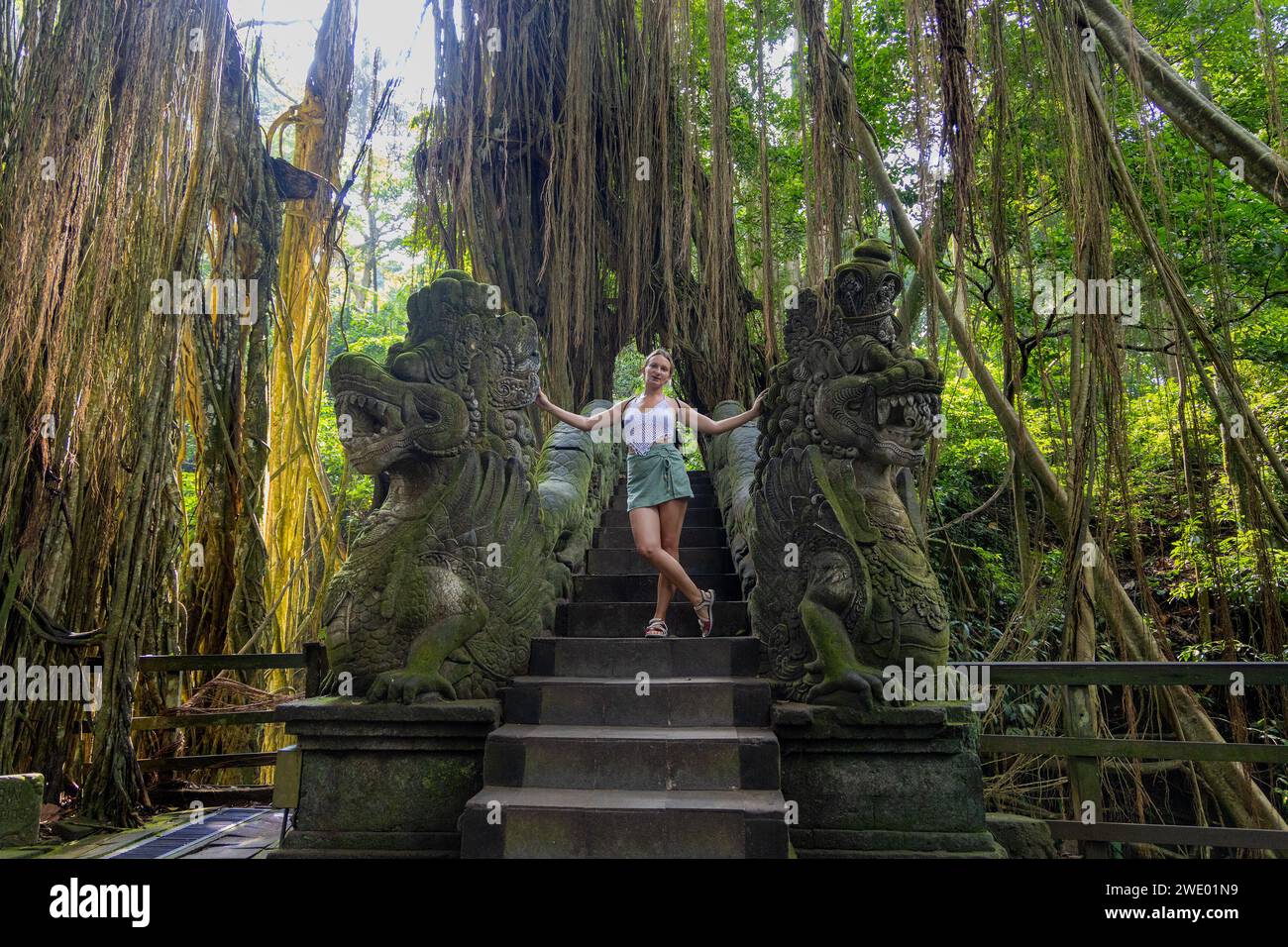 Bali forest Banque de photographies et d’images à haute résolution - Alamy