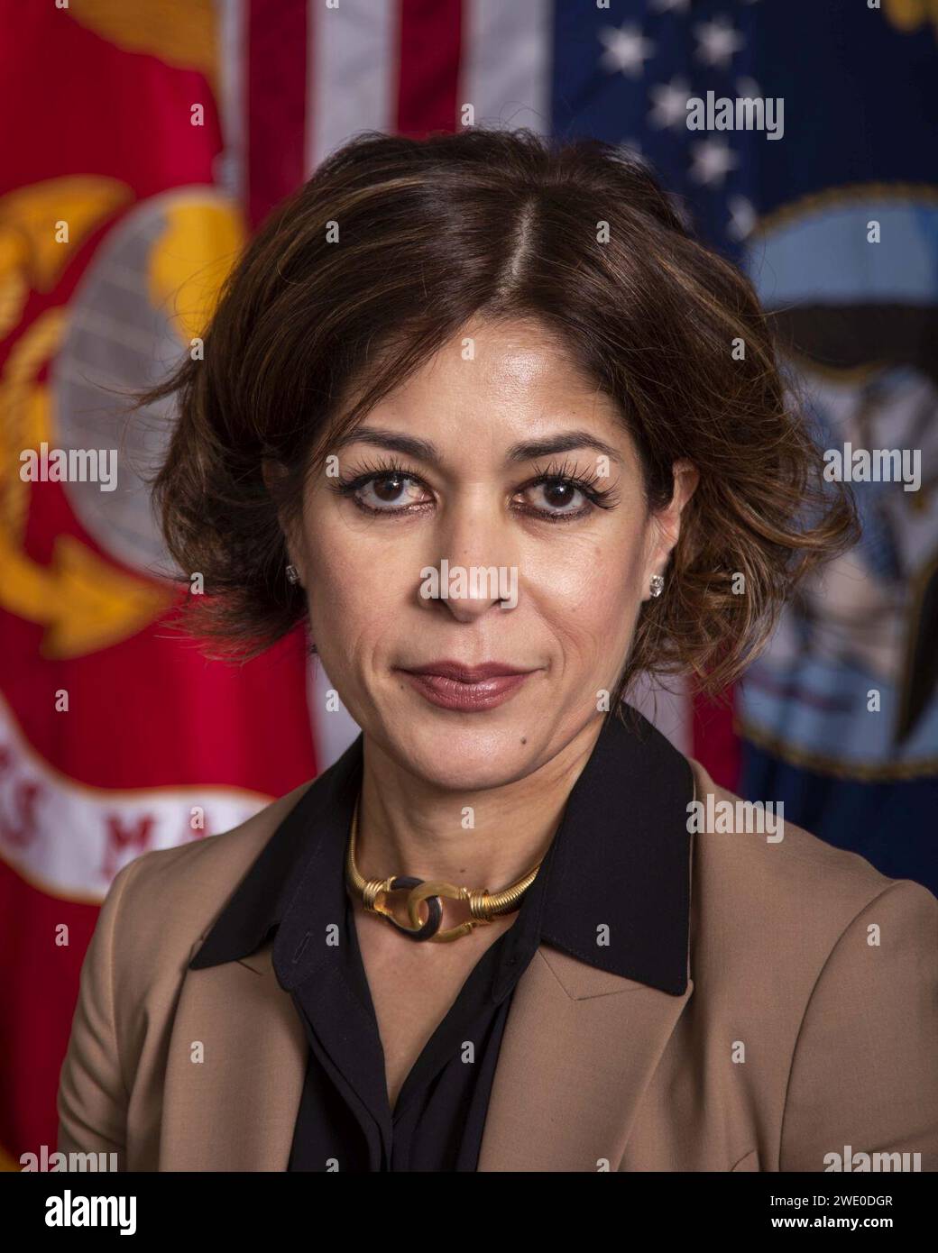 Un jenkins Banque de photographies et d’images à haute résolution - Alamy