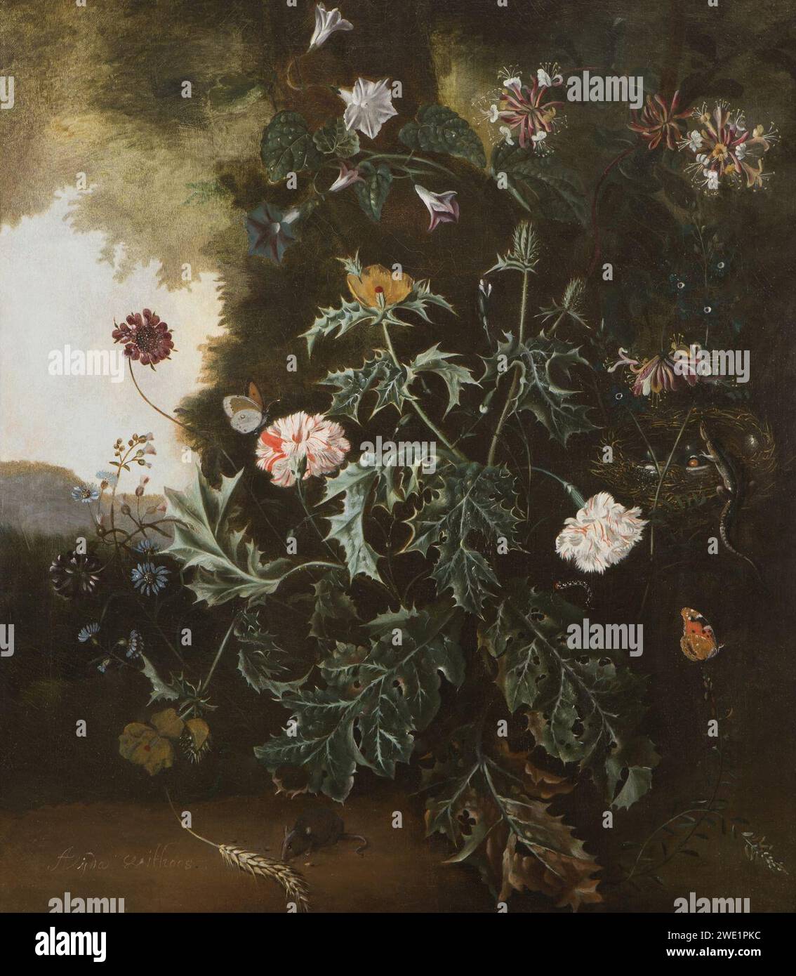 Alida withoos Banque de photographies et d’images à haute résolution ...