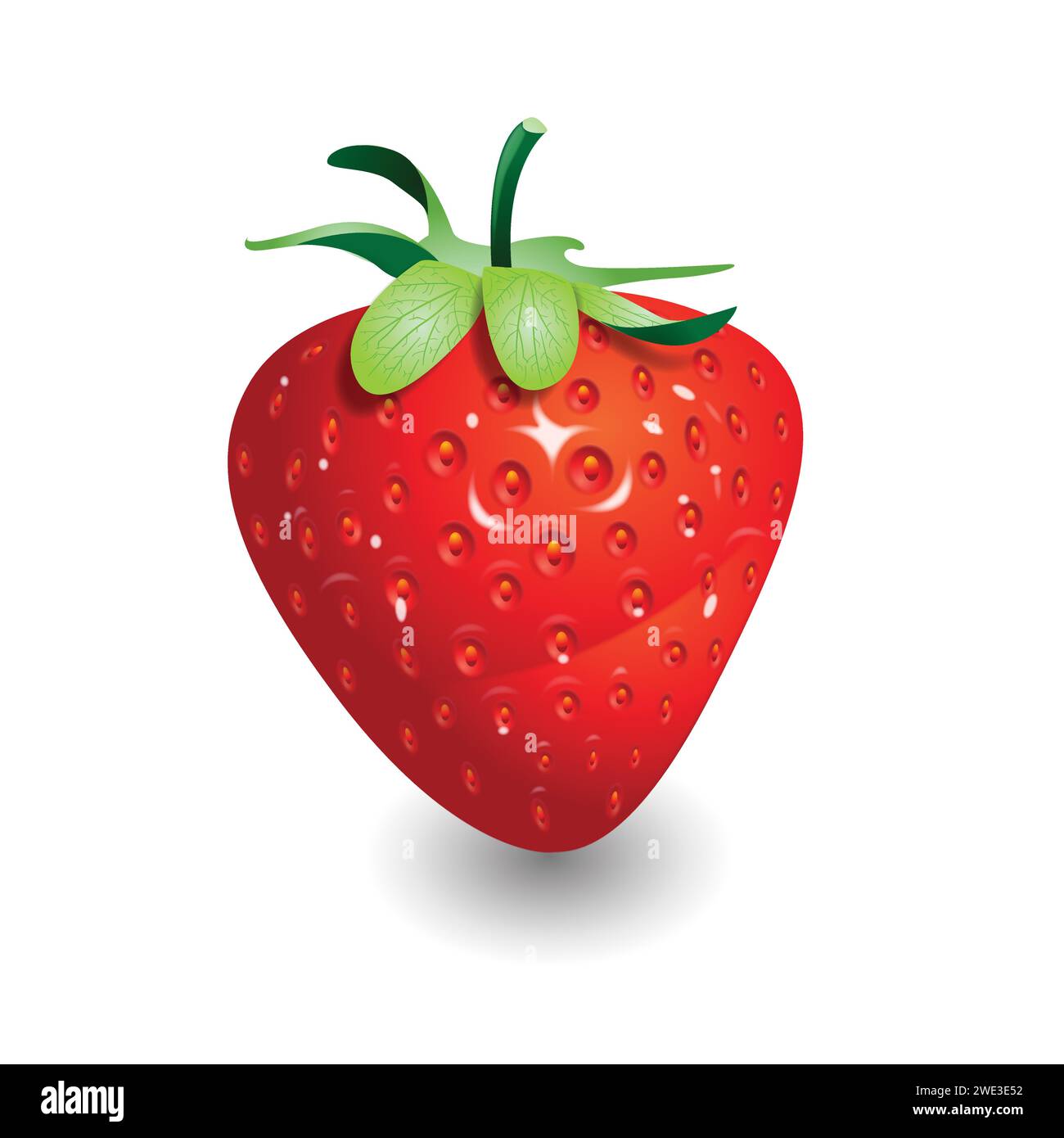 Fraise des bois Banque d'images vectorielles - Alamy
