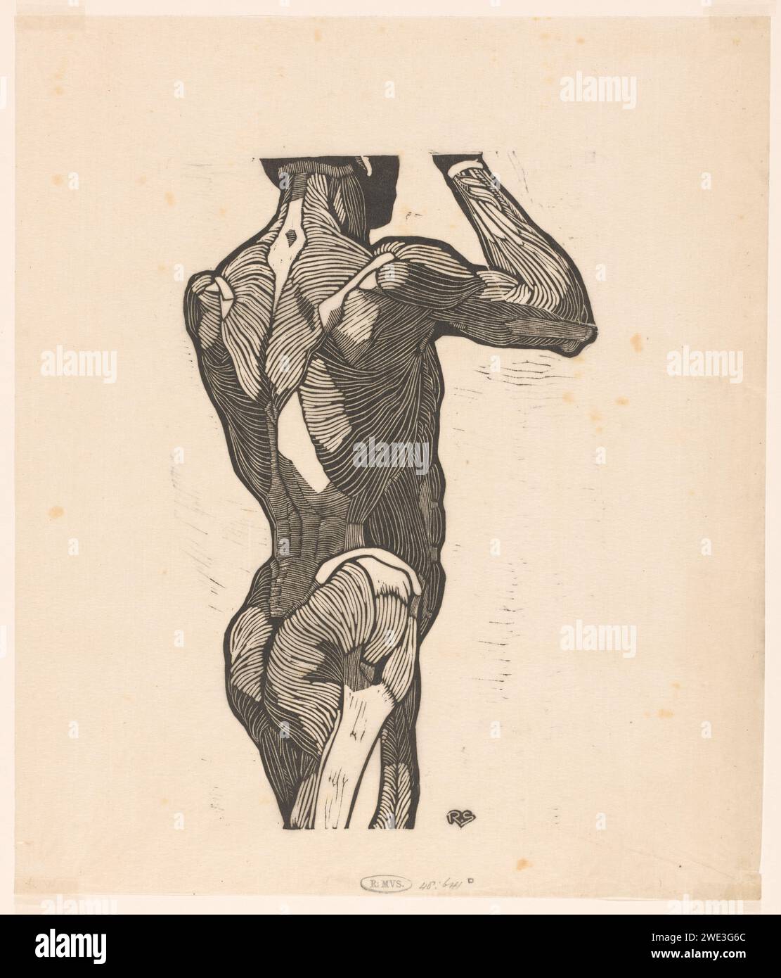Anatomie des fesses humaines homme Banque de photographies et d’images ...