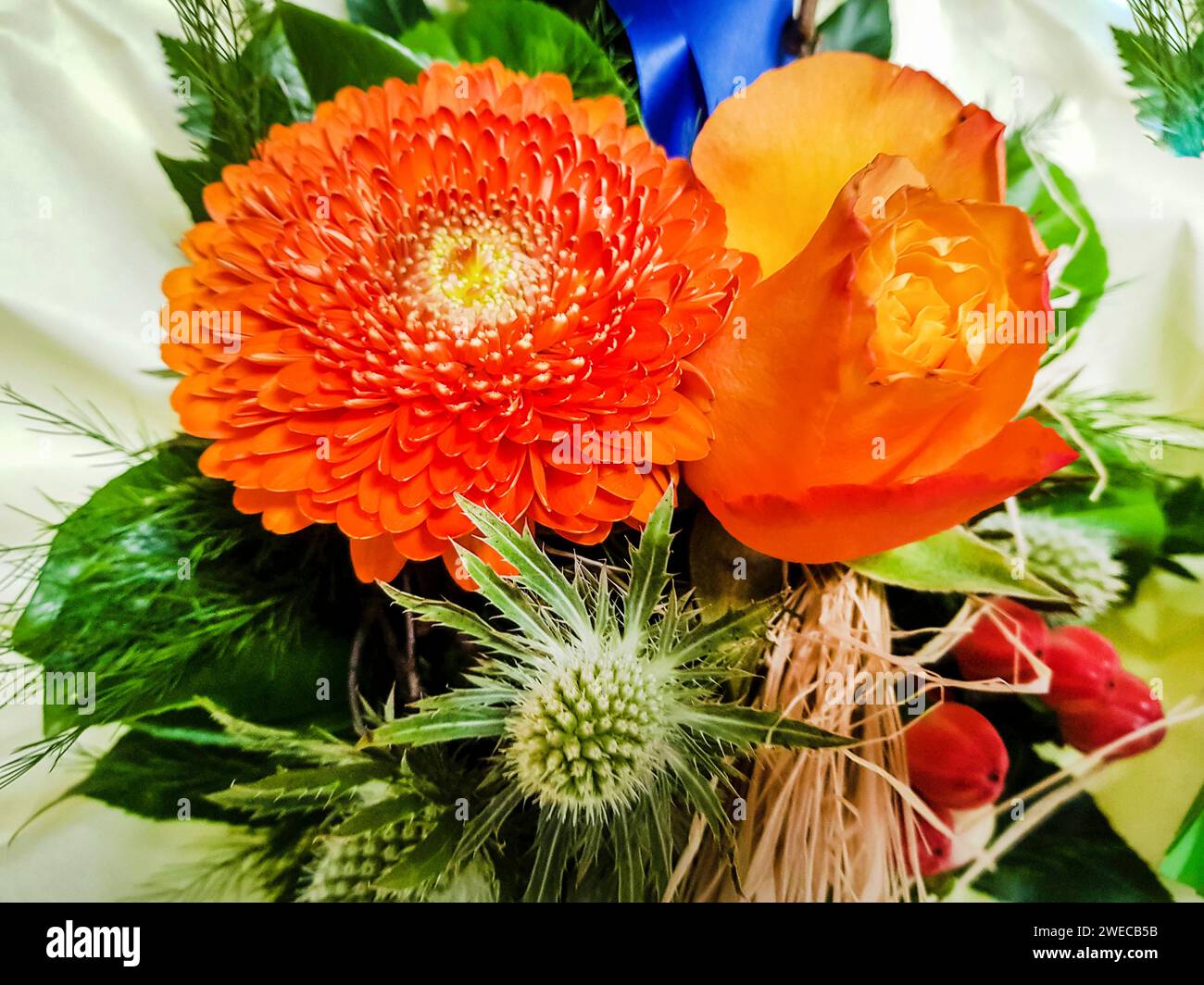 Roses and gerberas Banque de photographies et d’images à haute ...