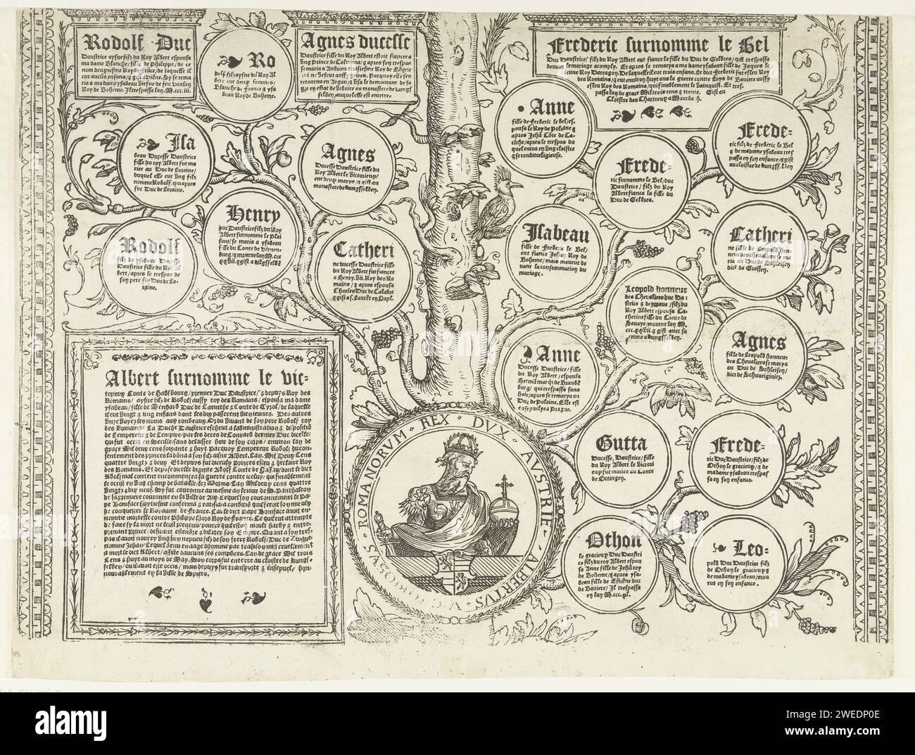 Arbre généalogique de la maison des Habsbourg, page onze, Robert Péril ...