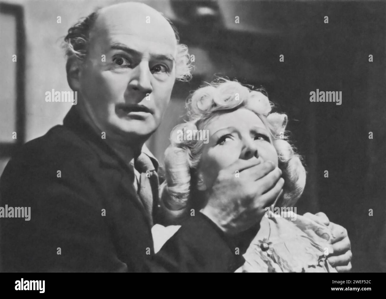 Olive sloane Banque de photographies et d’images à haute résolution - Alamy